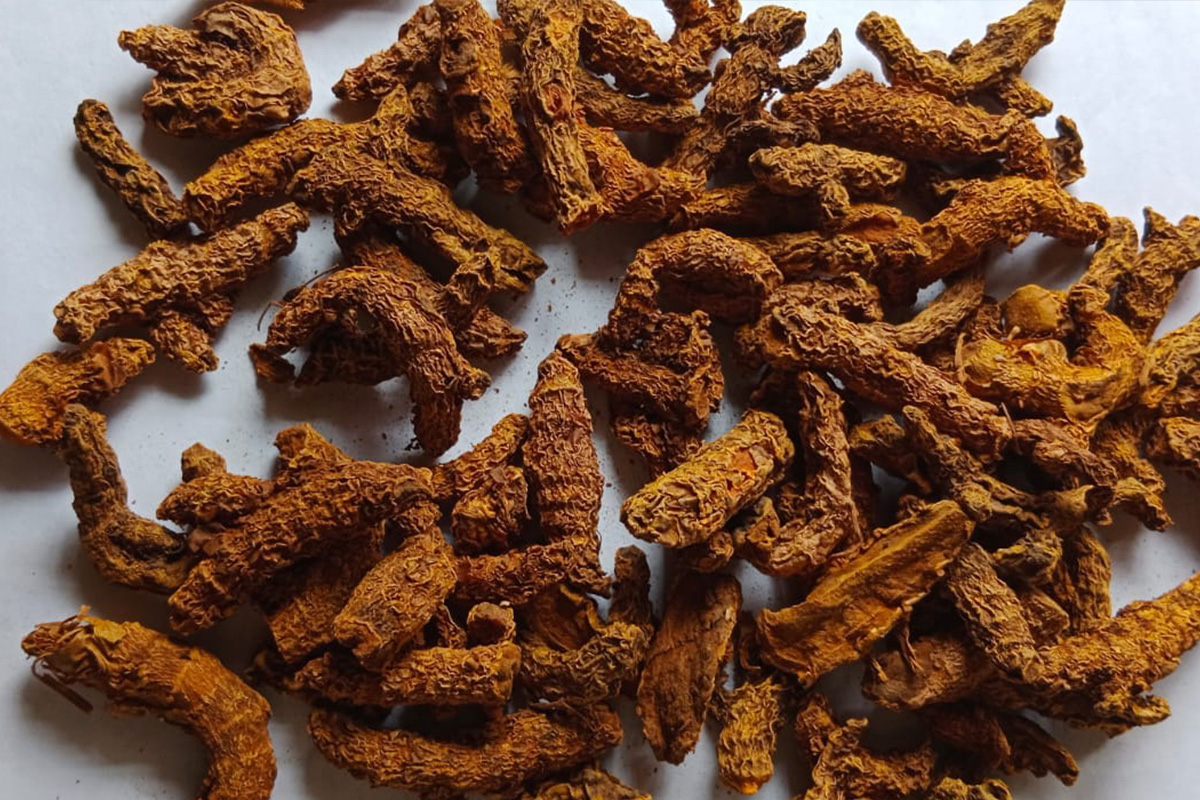 Organic Alleppey Finger Turmeric (AFT) – organiceastern